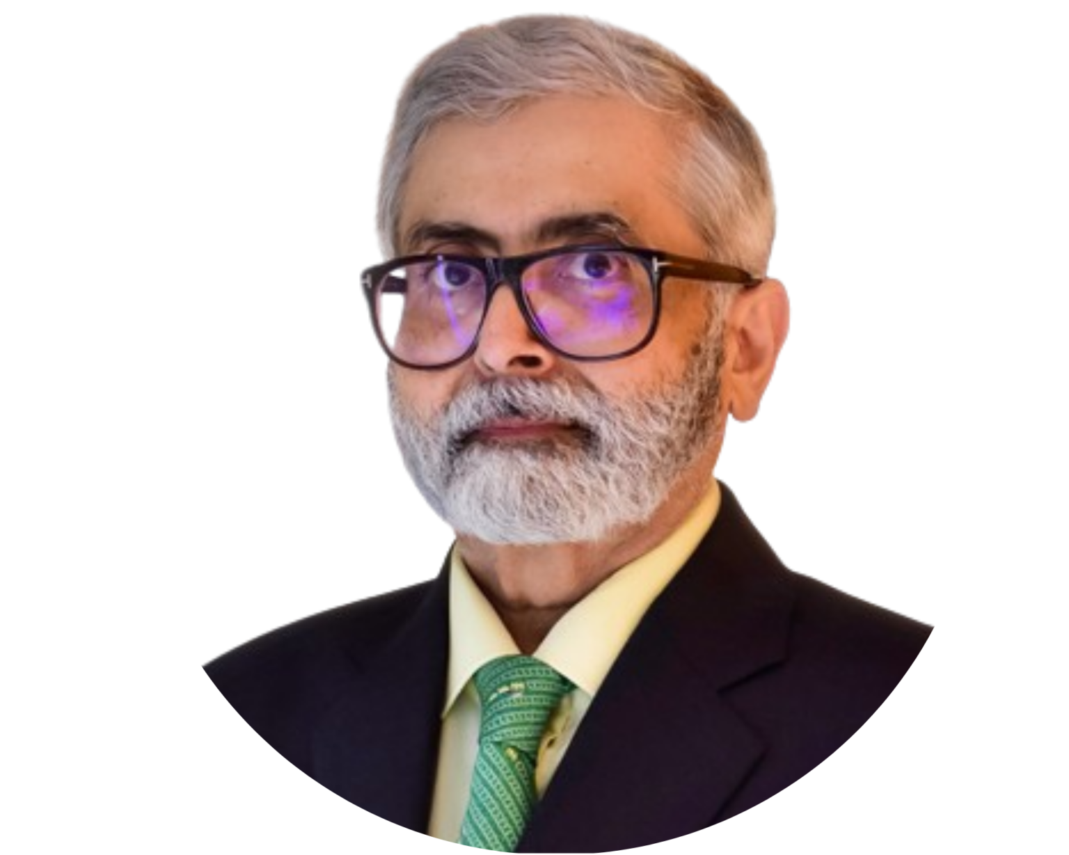 The Indian Business Law Review